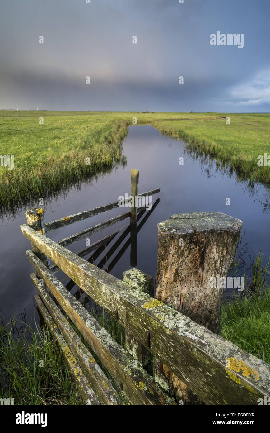 Uk raining marsh hi-res stock photography and images - Alamy