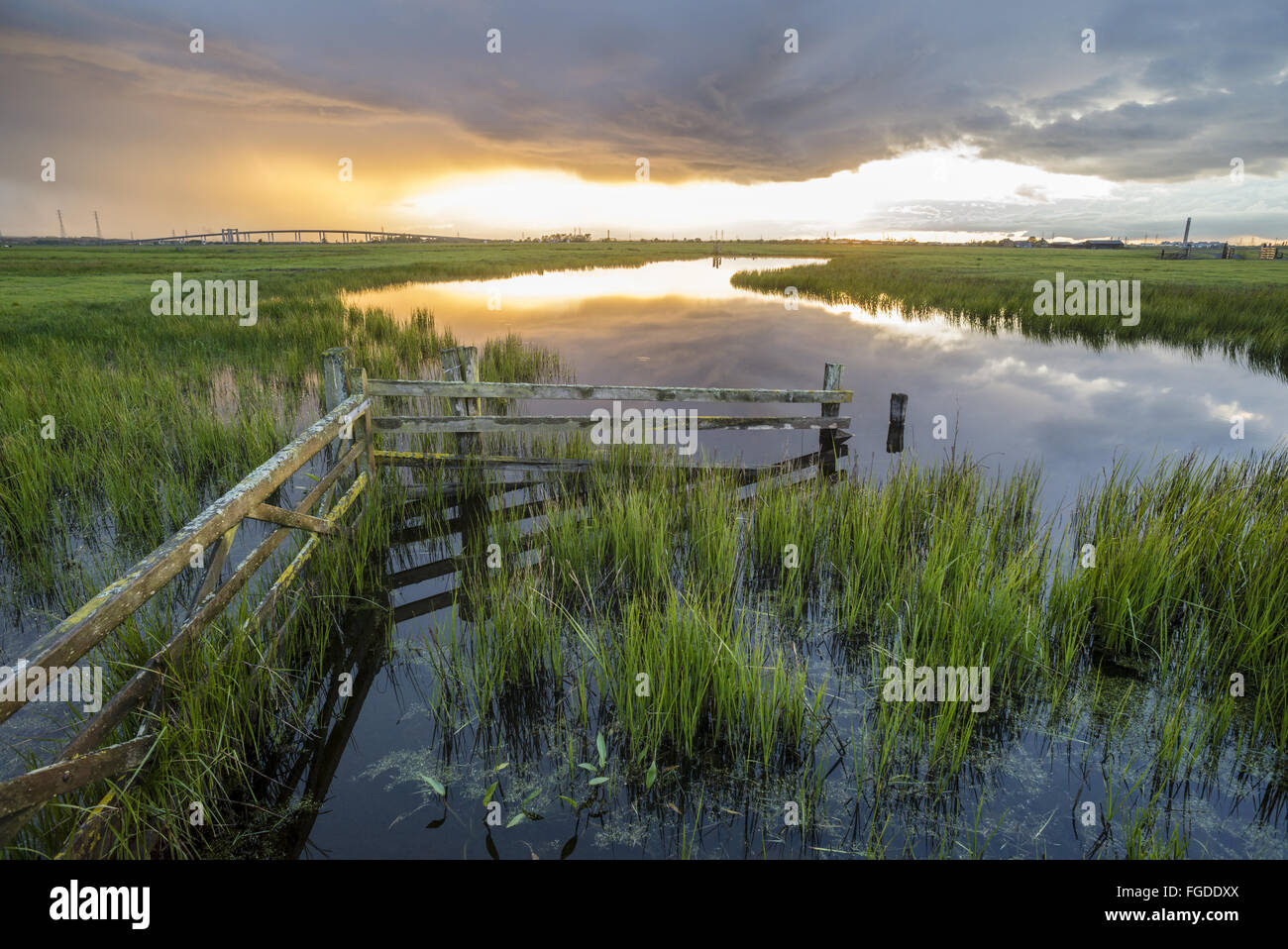 Cattle fence and pool on coastal grazing marsh habitat at sunset ...