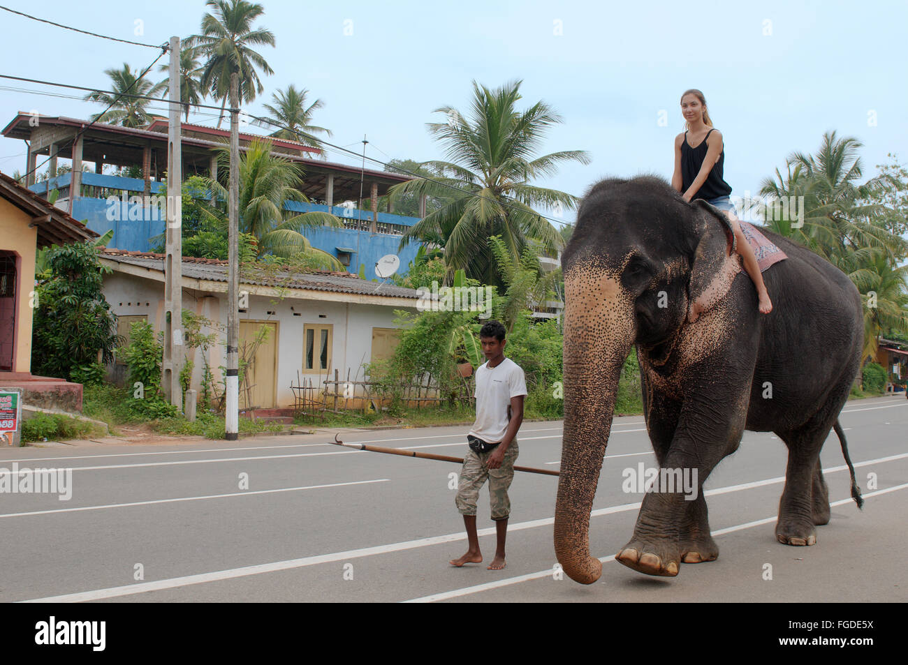 Woman riding an elephant hi-res stock photography and images - Alamy