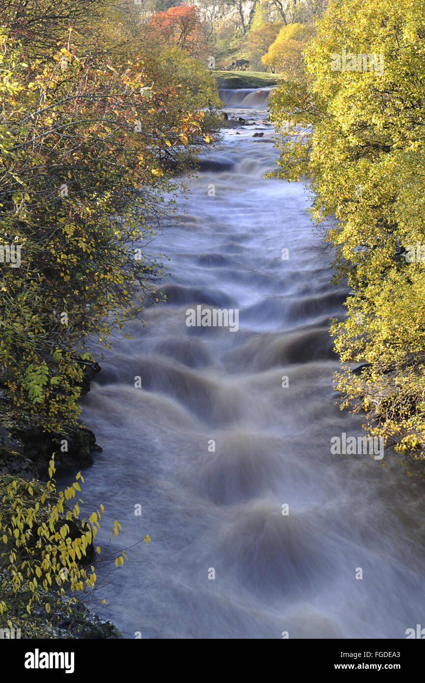 Trees with leaves in autumn colours beside fast flowing river, River ...