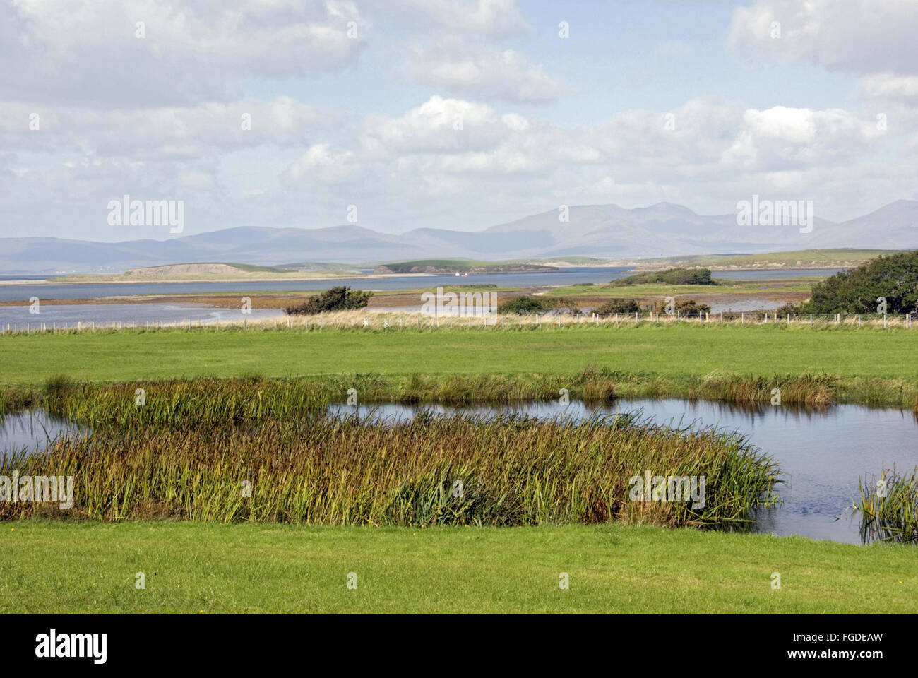 View across freshwater pool towards coastal bay, near Westport, Clew ...