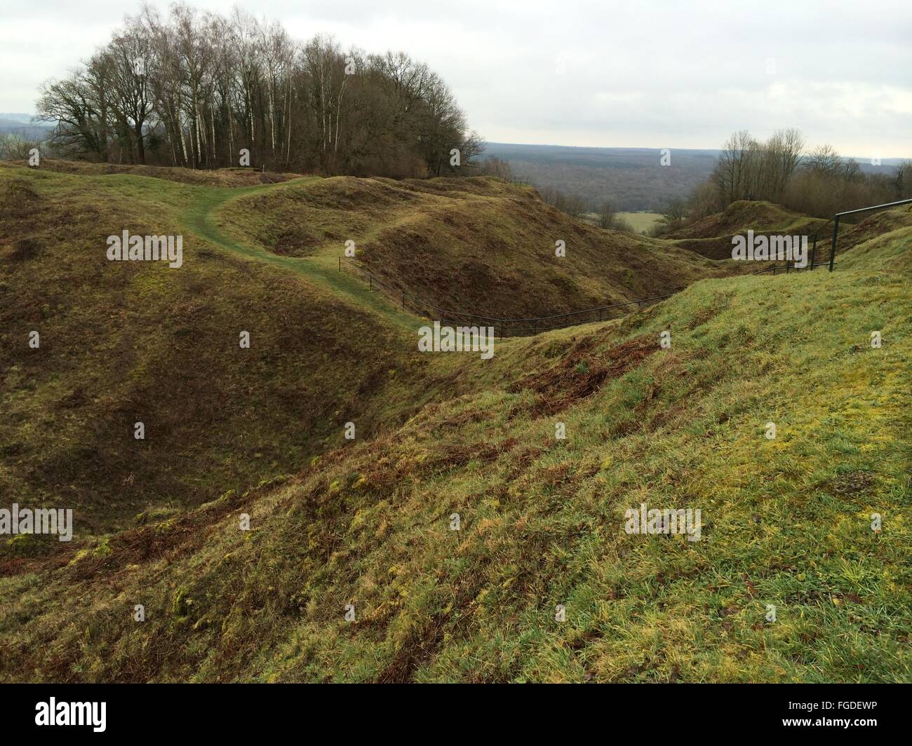 Verdun, France. 20th Feb, 2014. A view of the overgrown remains of the ...