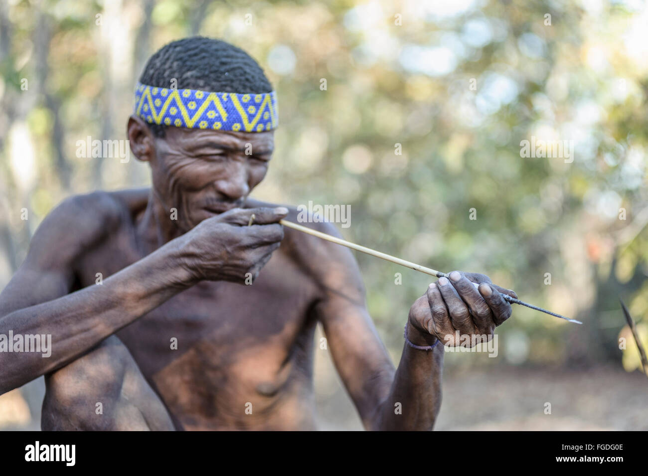 San bushmen arrow hi-res stock photography and images - Alamy