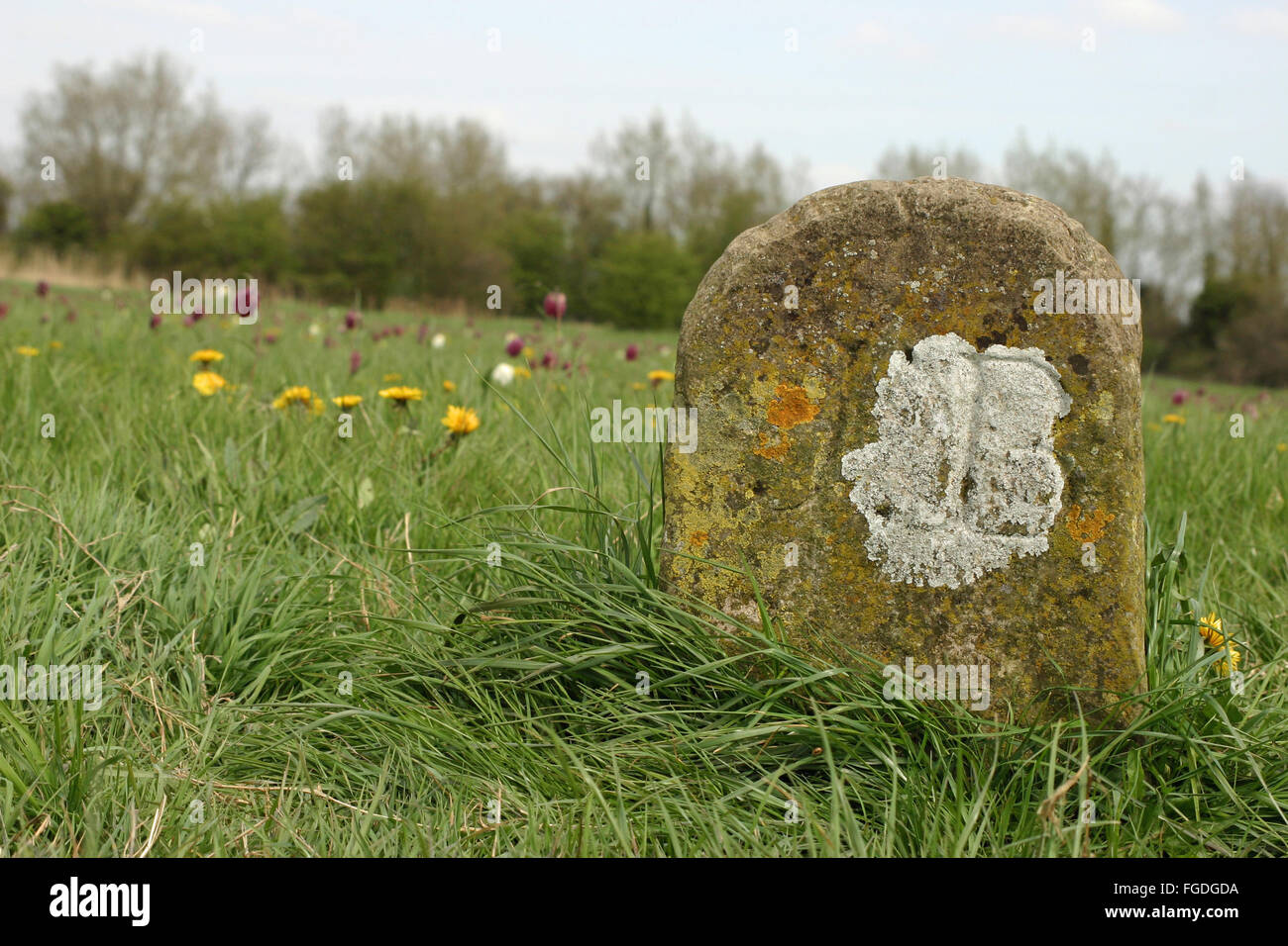 Old stone meadow boundary marker Stock Photo - Alamy