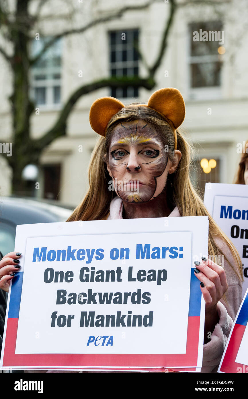 Peta Animal Rights Photo Shoot