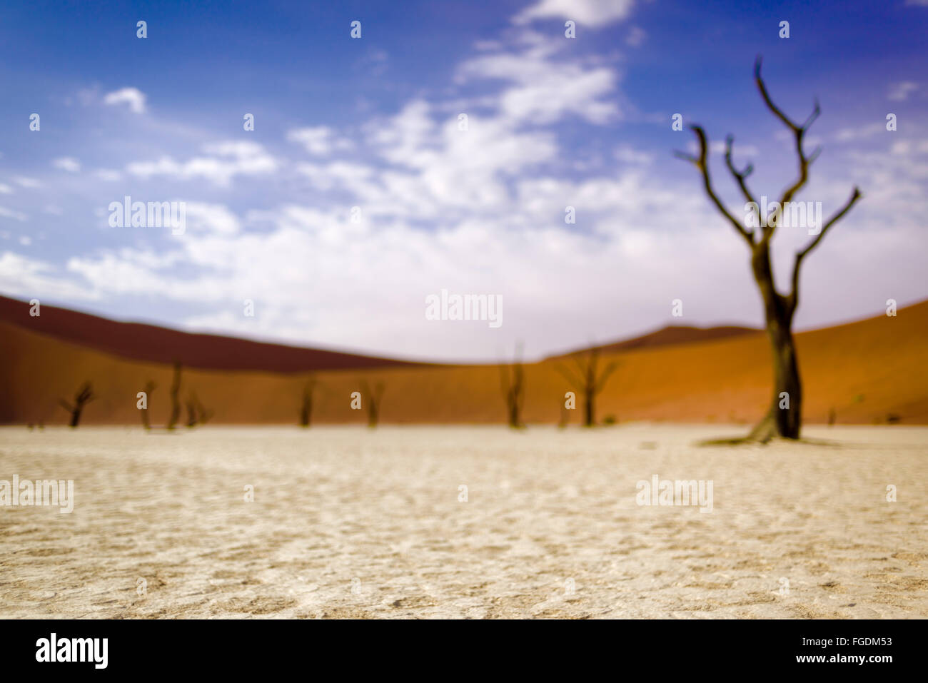 Dead trees standing hi-res stock photography and images - Alamy