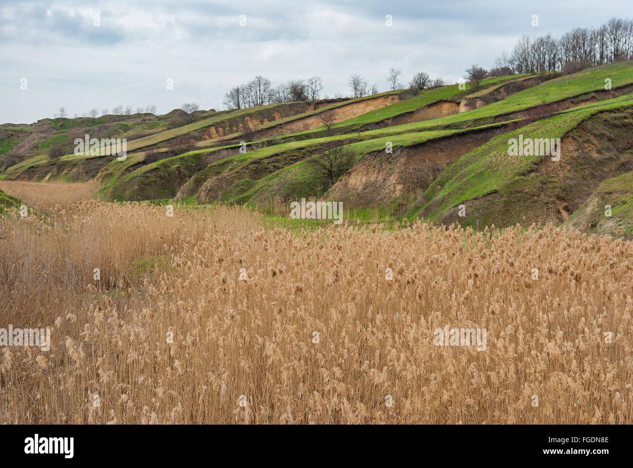 Rushy High Resolution Stock Photography and Images - Alamy