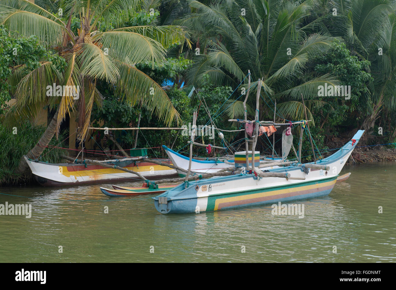 Traditional catamaran Fishing Boats Sri Lanka are in the lagoon ...