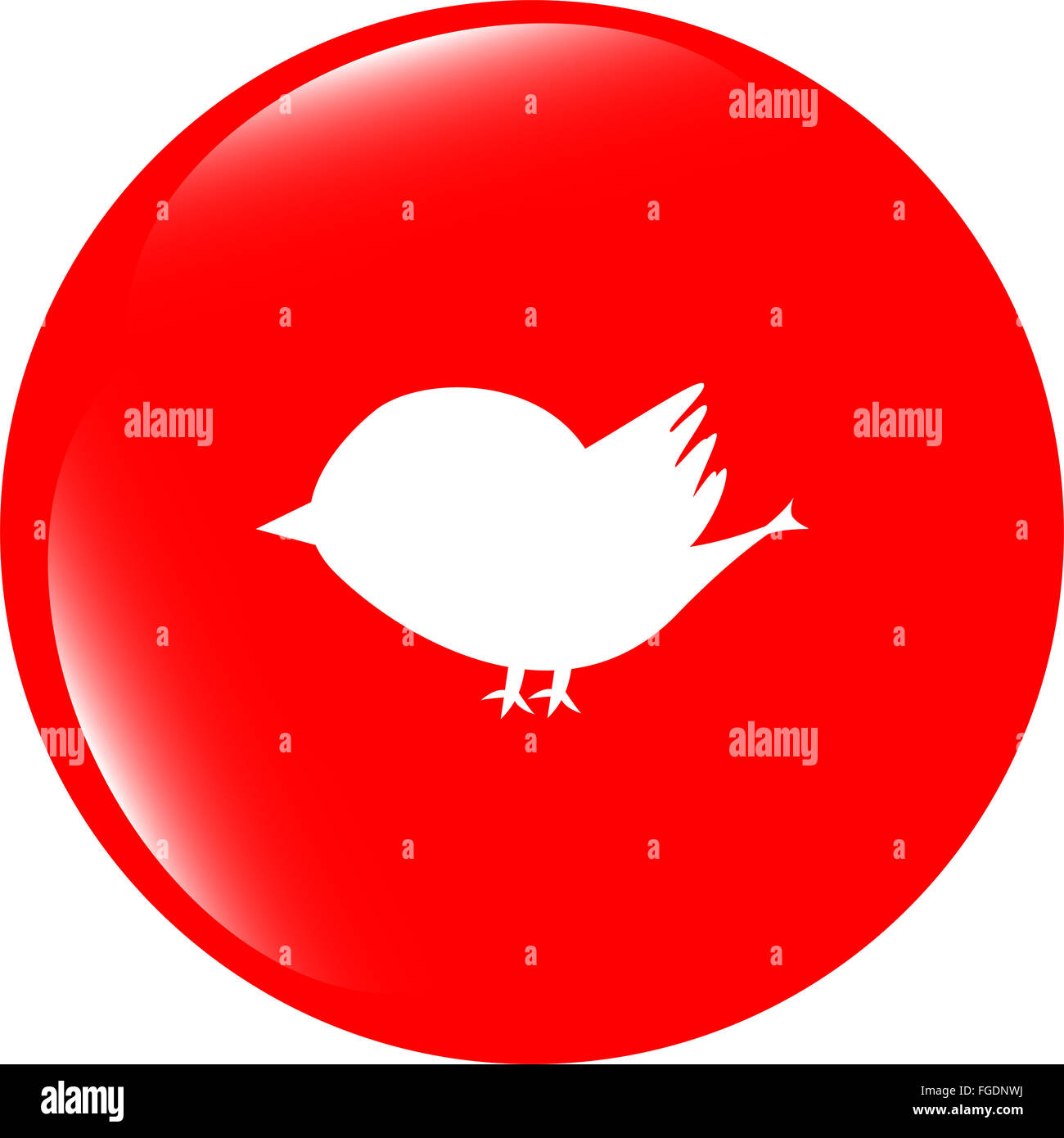 Glossy isolated website and internet web icon with bird symbol Stock ...