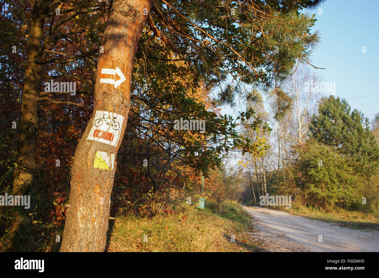 Trail signs on trees hi-res stock photography and images - Alamy