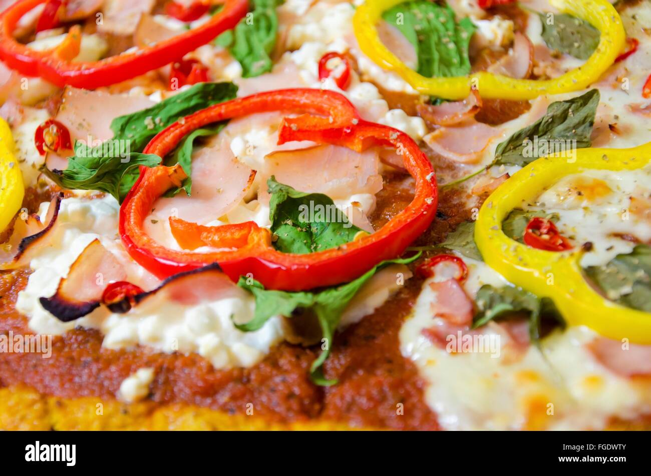 Oven baked pizza topped with halloumi, cottage, mozzarella cheese ...