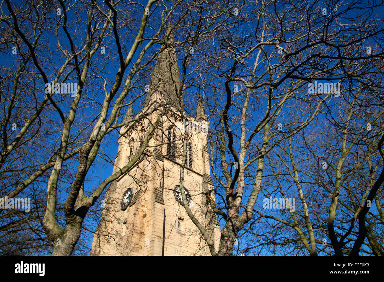 Wakefield Cathedral through Winter Trees Wakefield West Yorkshire ...