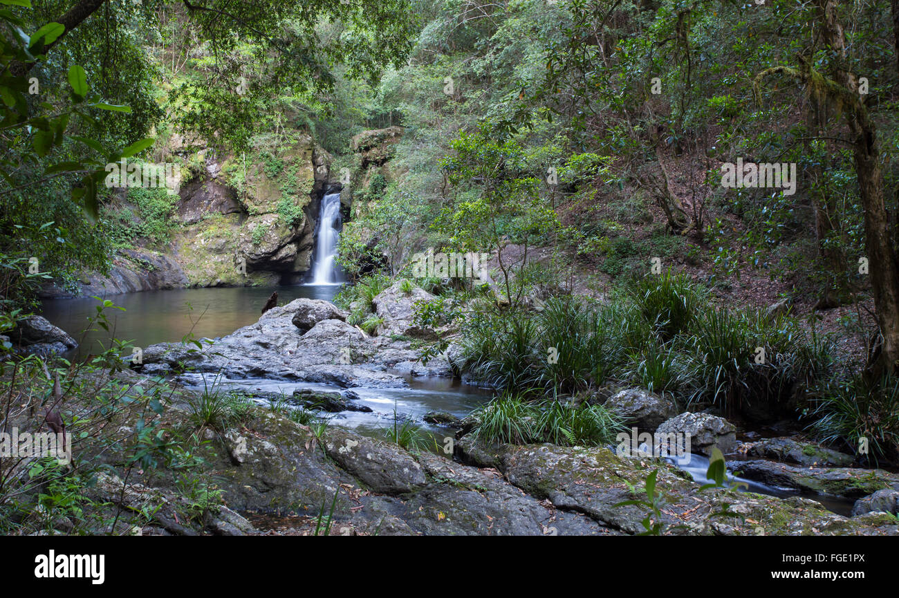 Potoroo Falls in Tapin Tops National Park, NSW, Australia Stock Photo ...