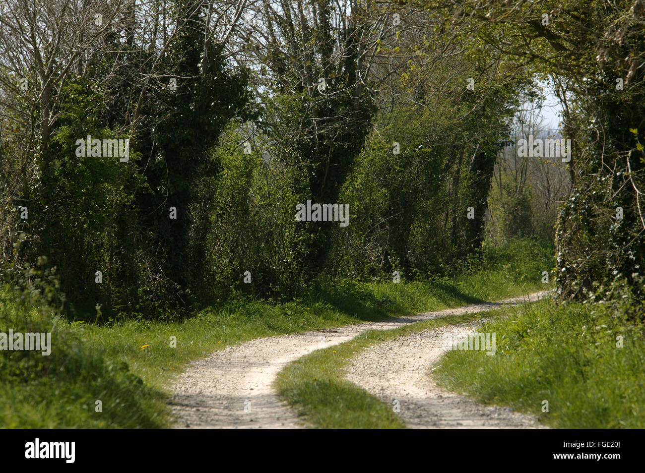Bocage france hi-res stock photography and images - Alamy