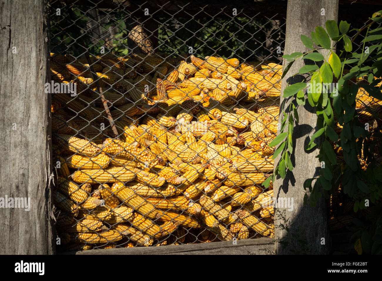 Corn granary hi-res stock photography and images - Alamy