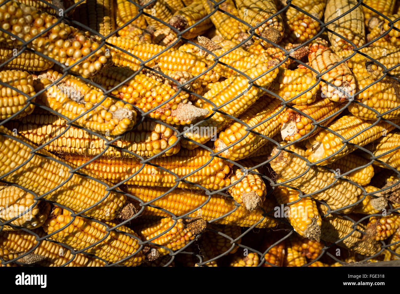 Corn granary hi-res stock photography and images - Alamy