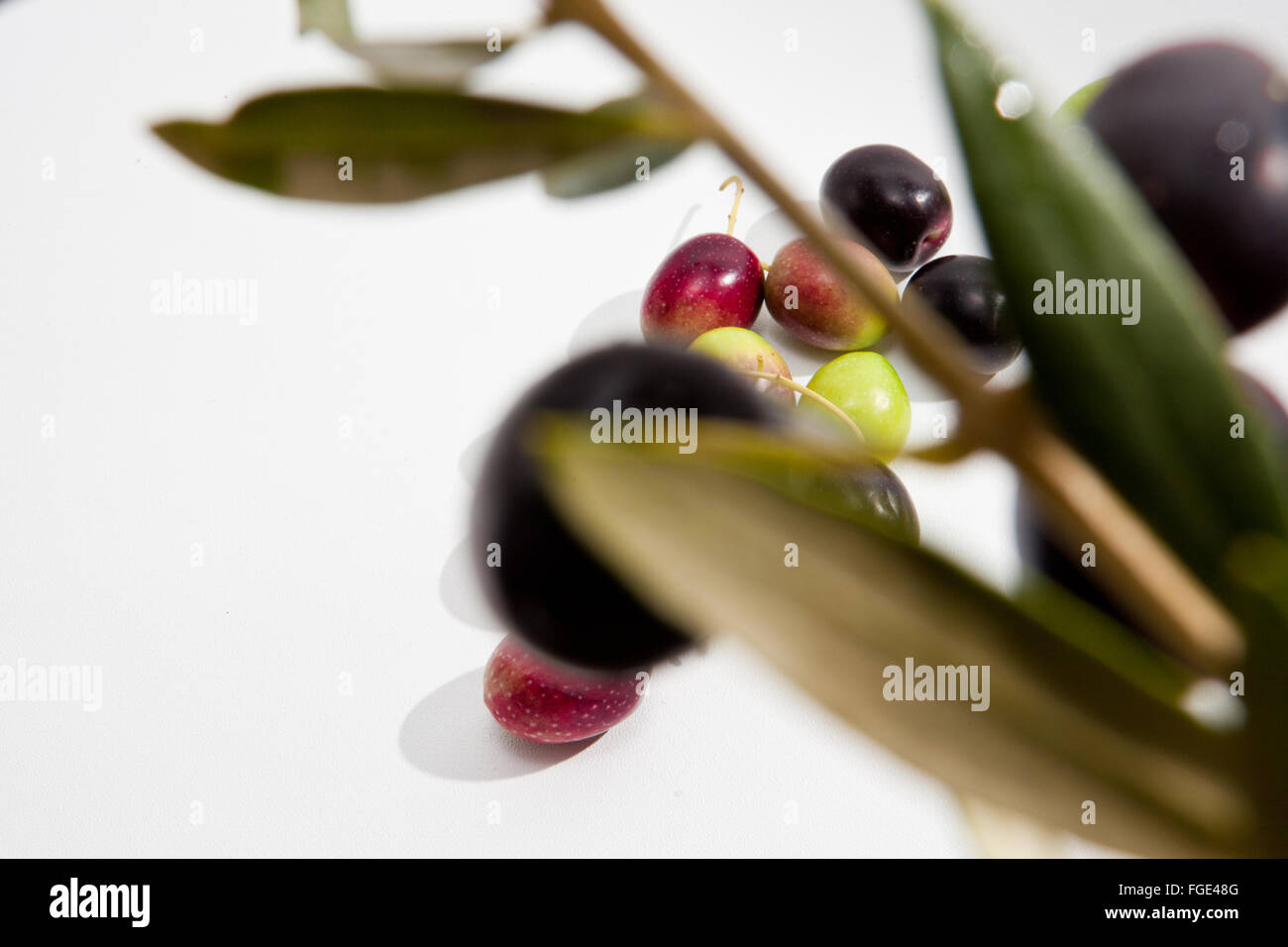Fresh olives in extra virgin olive oil Stock Photo - Alamy