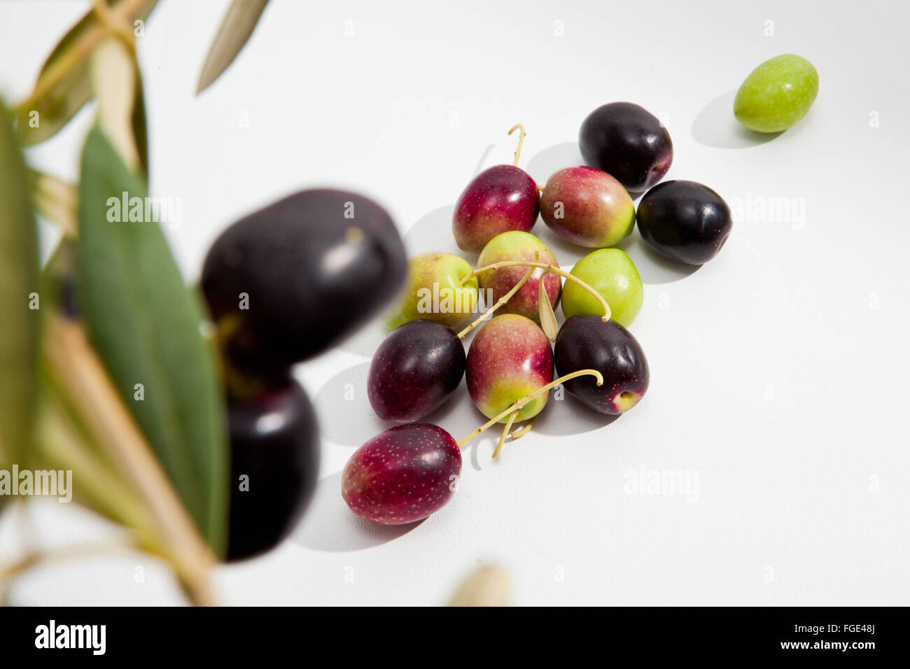 Olive oil products hi-res stock photography and images - Alamy