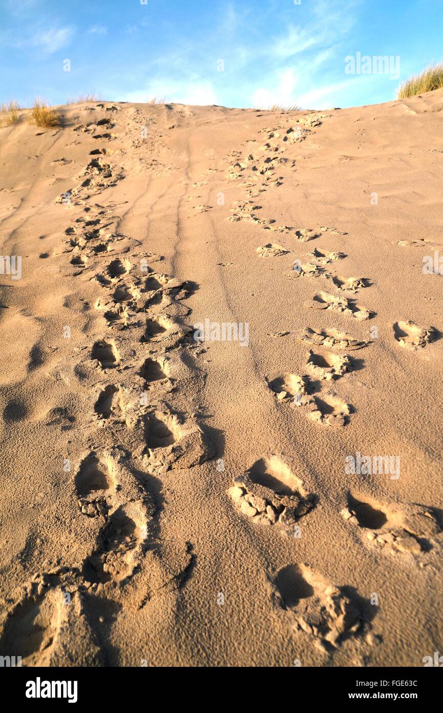 Sand steps hi-res stock photography and images - Alamy