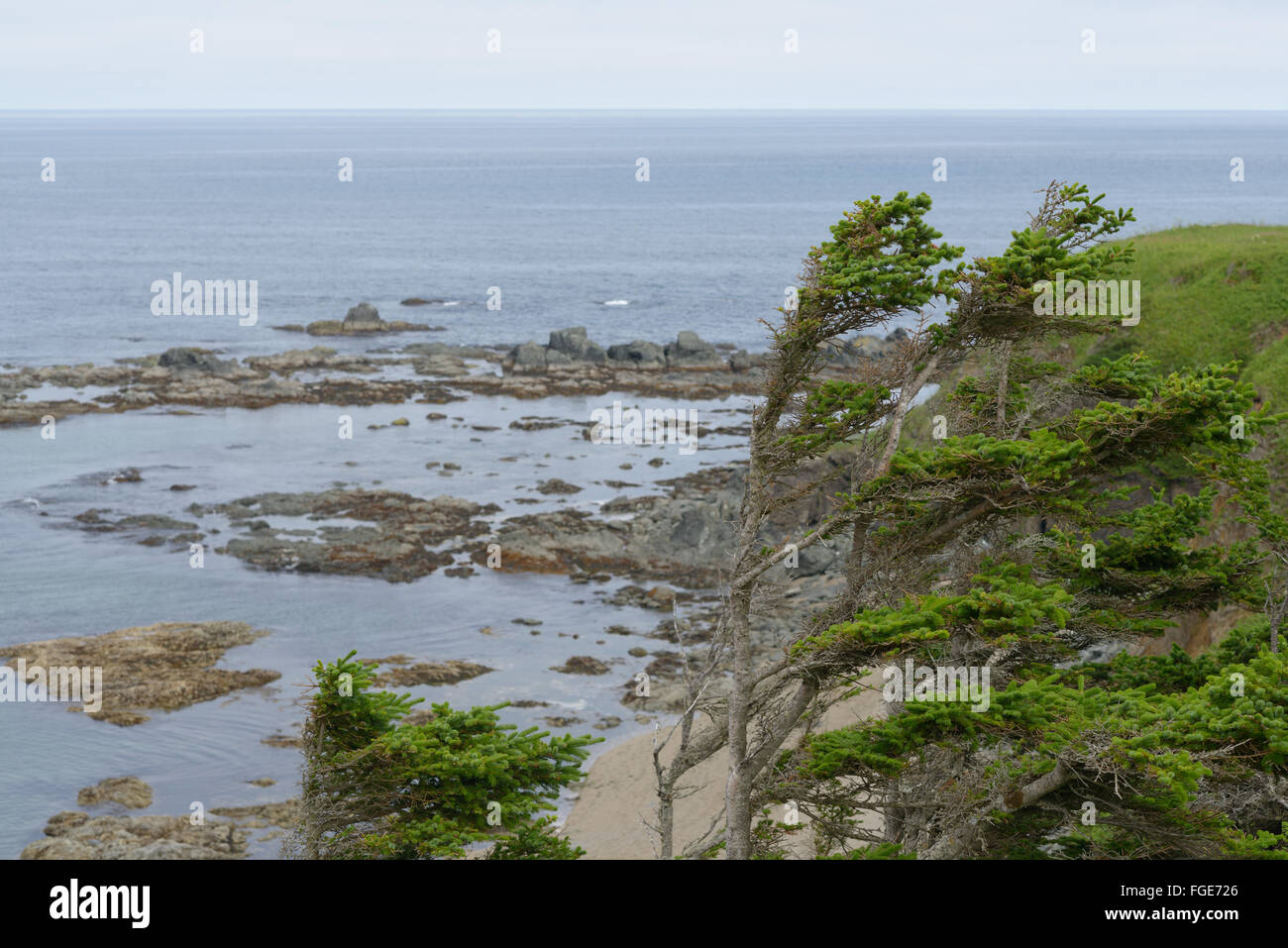Coastal cliffs, Sakhalin Island, Russia Stock Photo - Alamy