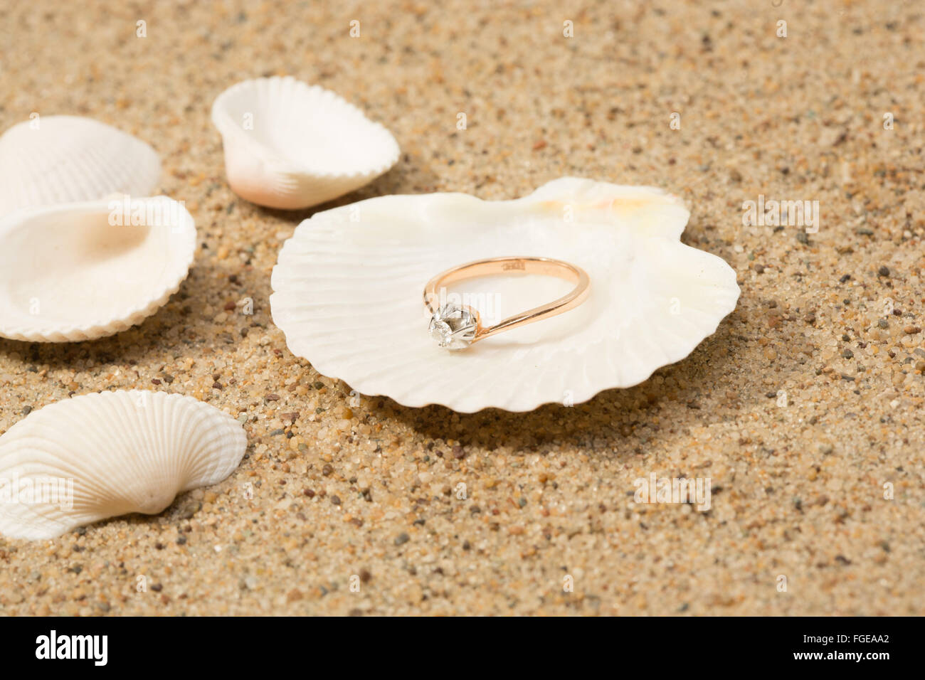 Wedding ring in a shell Stock Photo - Alamy