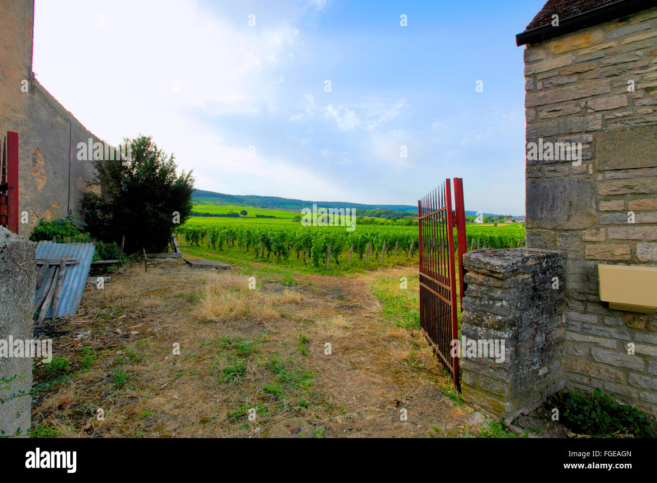 Gevrey chambertin vineyard hi-res stock photography and images - Alamy