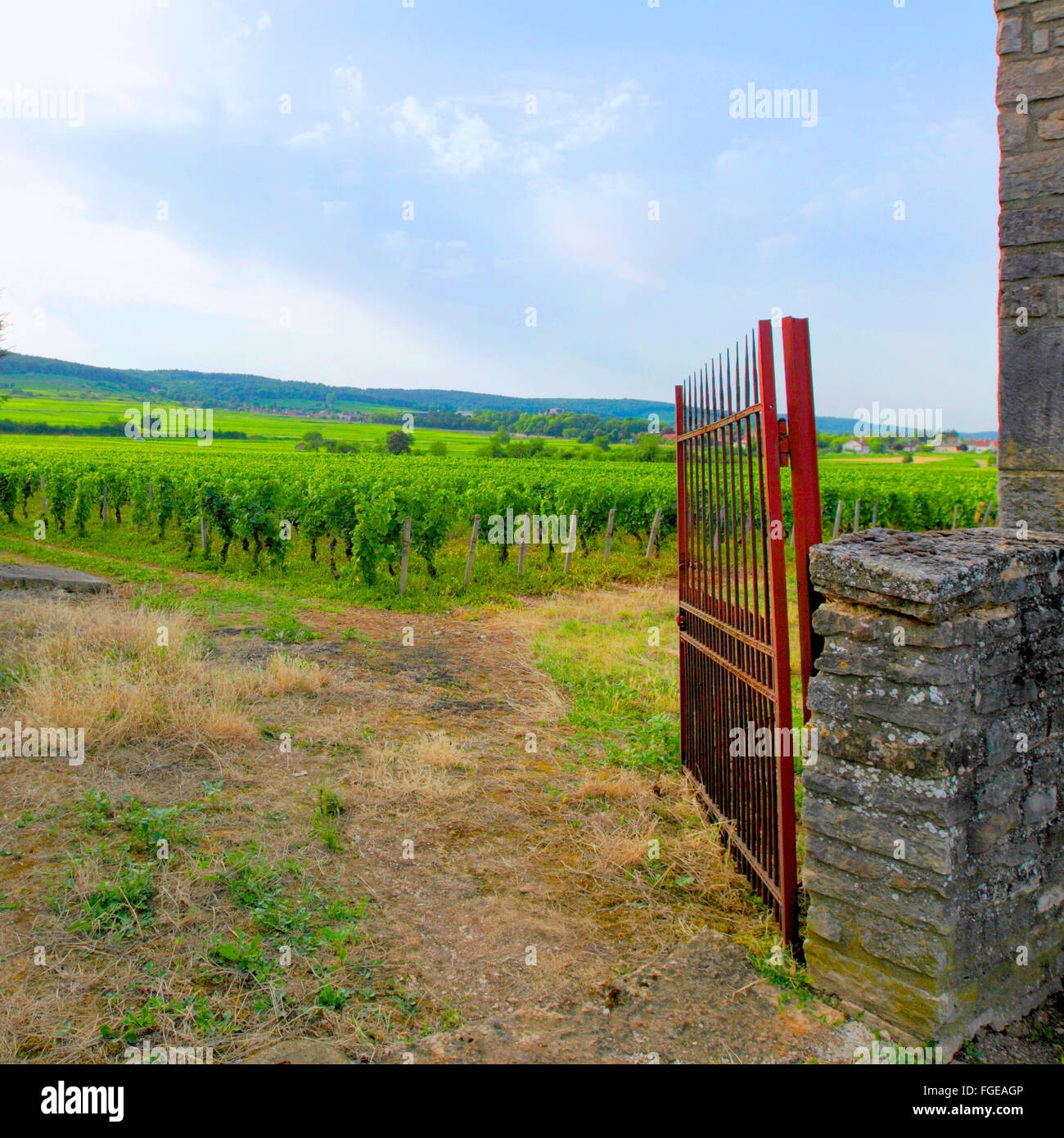 Gevrey chambertin vineyard hi-res stock photography and images - Alamy
