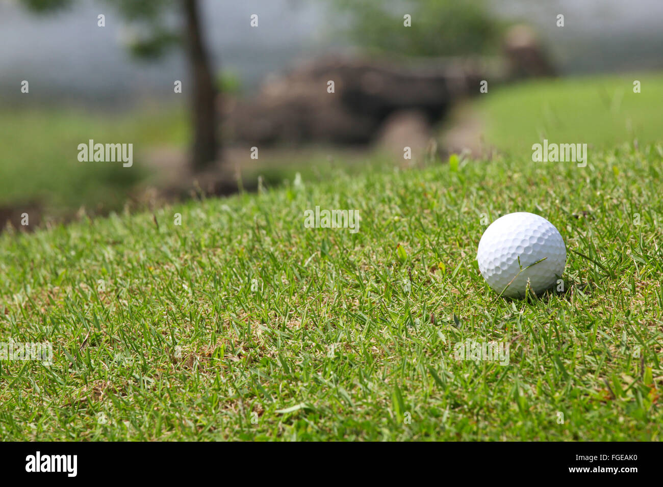 Golf ball on course close up Stock Photo - Alamy