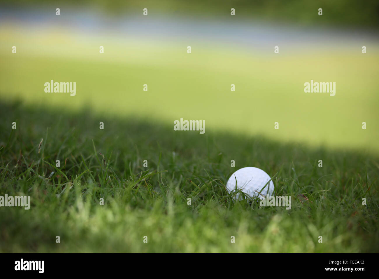 Golf ball on course close up Stock Photo - Alamy