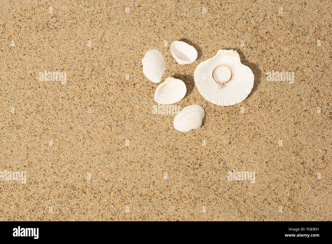 Wedding ring in a shell Stock Photo - Alamy