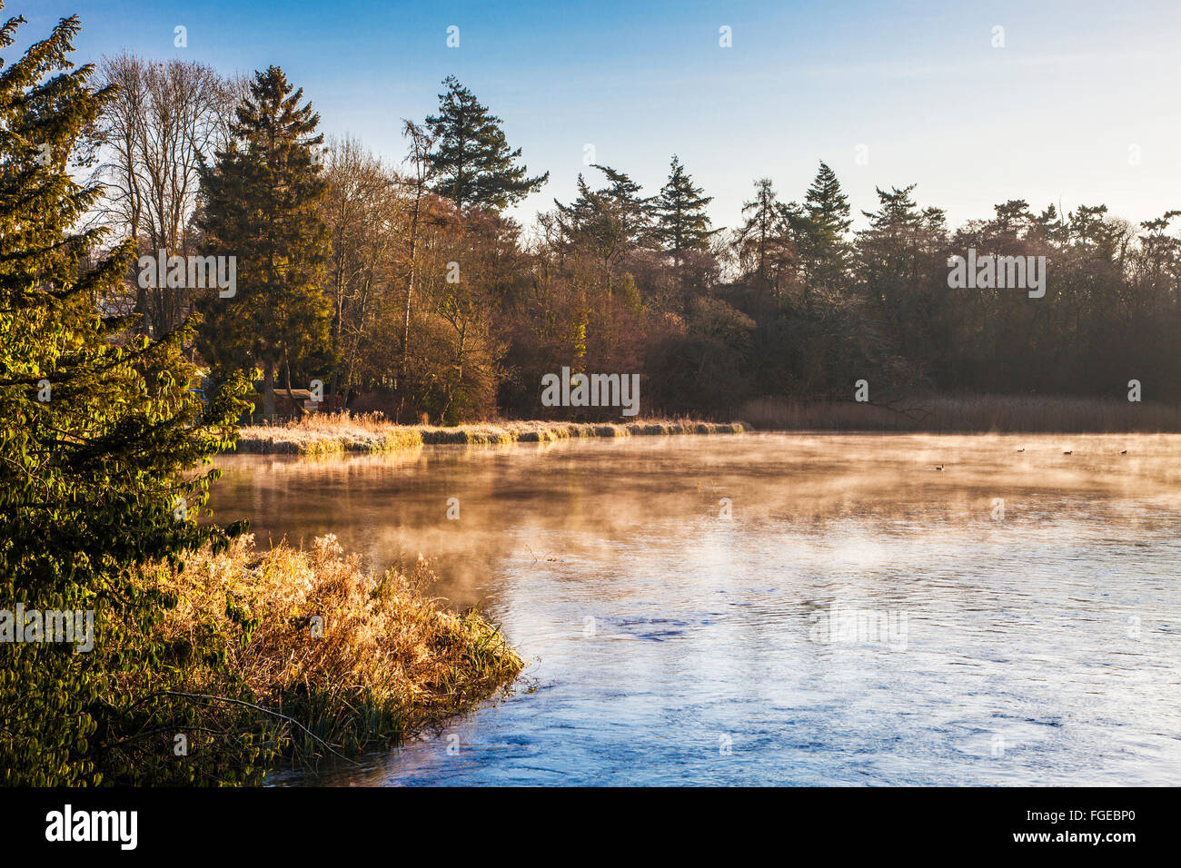 River kennet chilton foliat hi-res stock photography and images - Alamy
