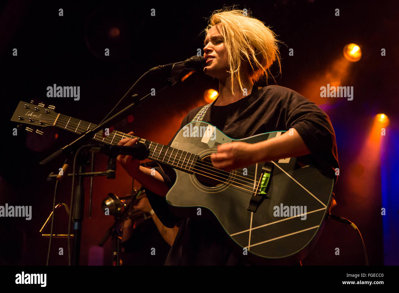 Singer bird hi-res stock photography and images - Alamy