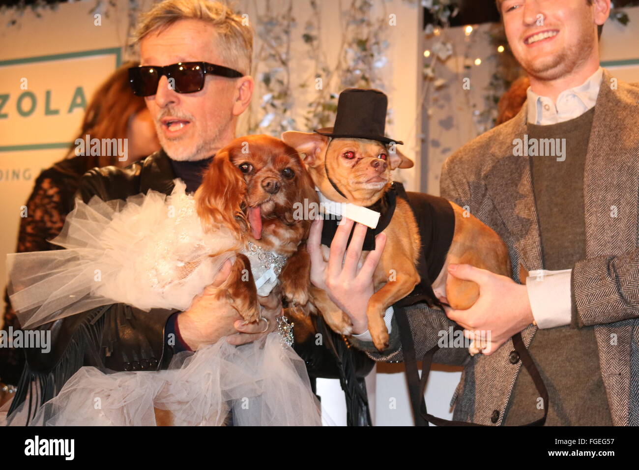 The Wedding of Toast Meets World and Finn Hearst Featuring: Simon ...