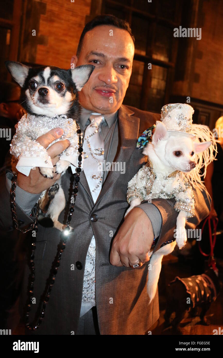 The Wedding of Toast Meets World and Finn Hearst Featuring: Anthony ...