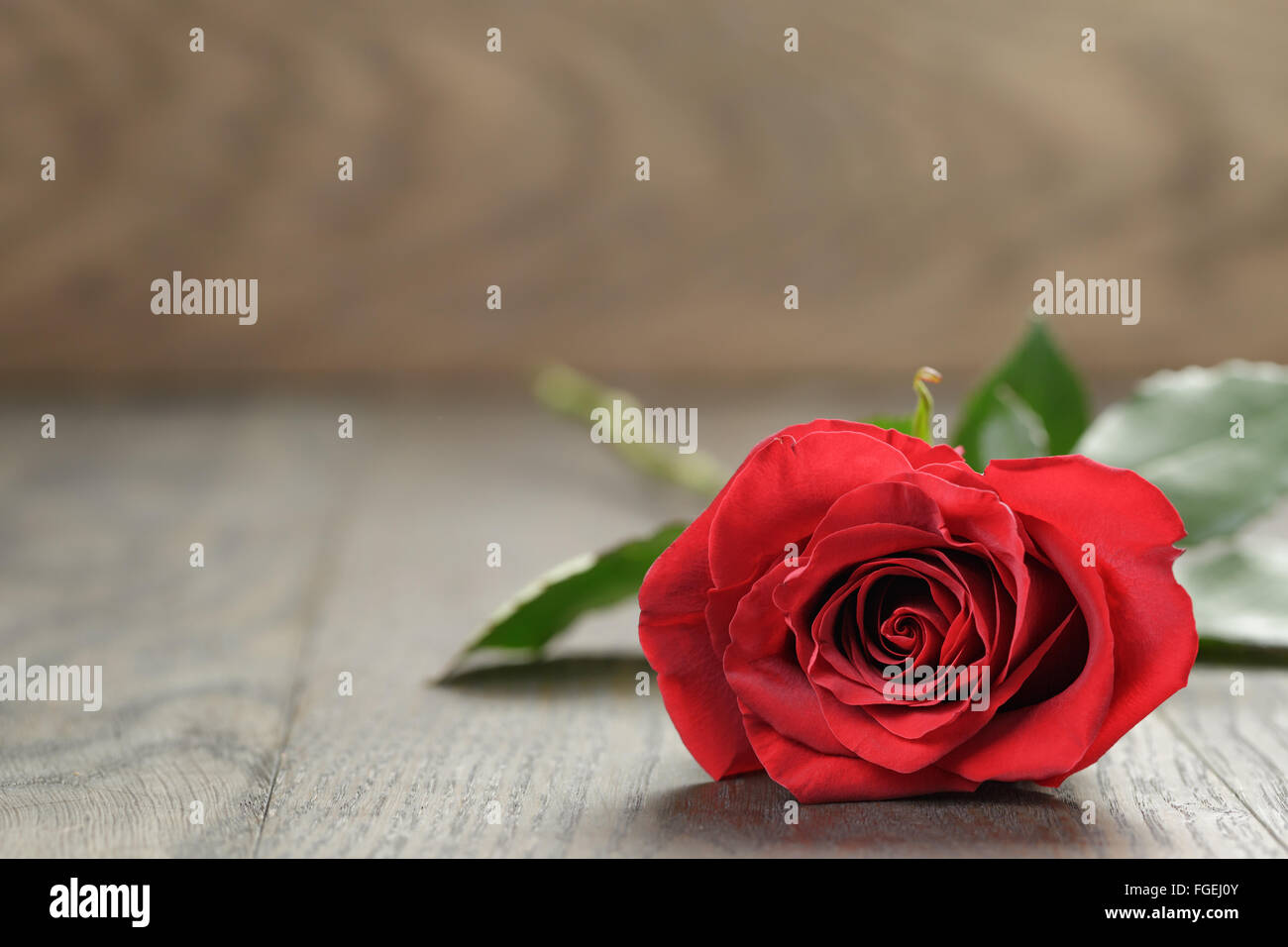 single red rose on wooden table Stock Photo - Alamy