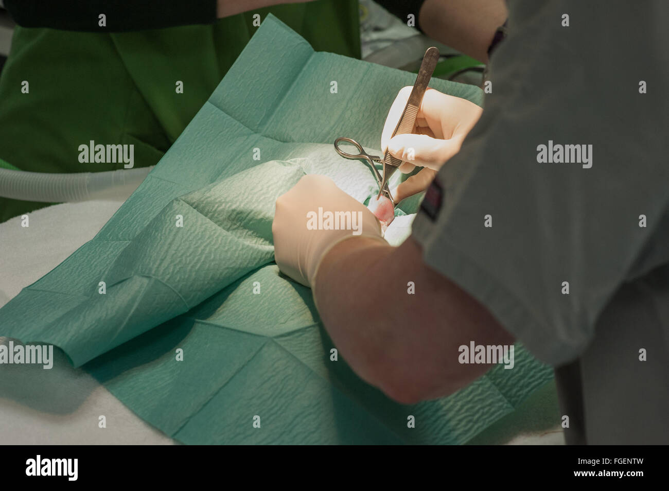 Undergoing an operation hi-res stock photography and images - Alamy