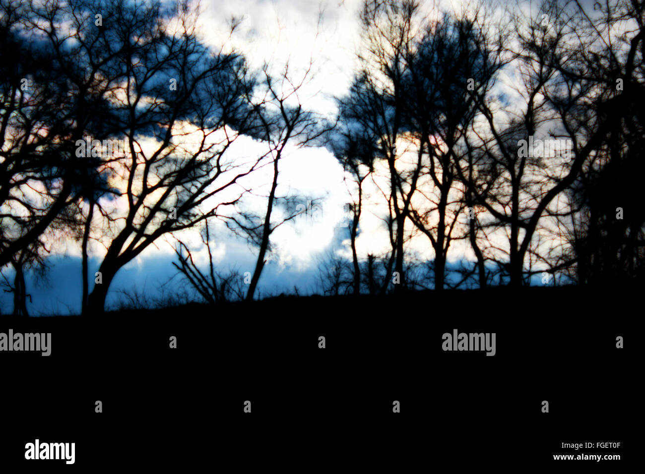 Dusk Tree line Stock Photo - Alamy