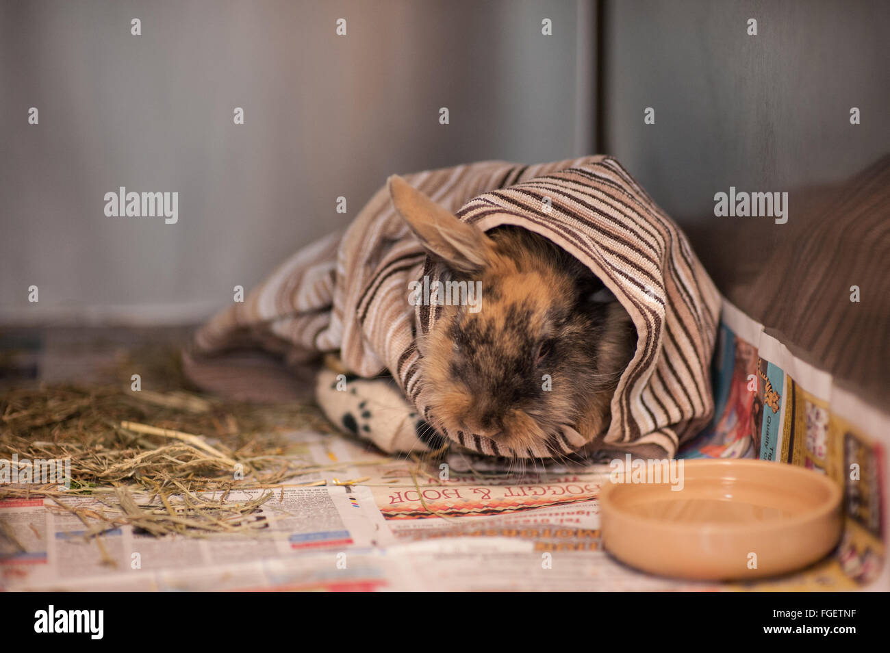 Surgery environment hi-res stock photography and images - Alamy