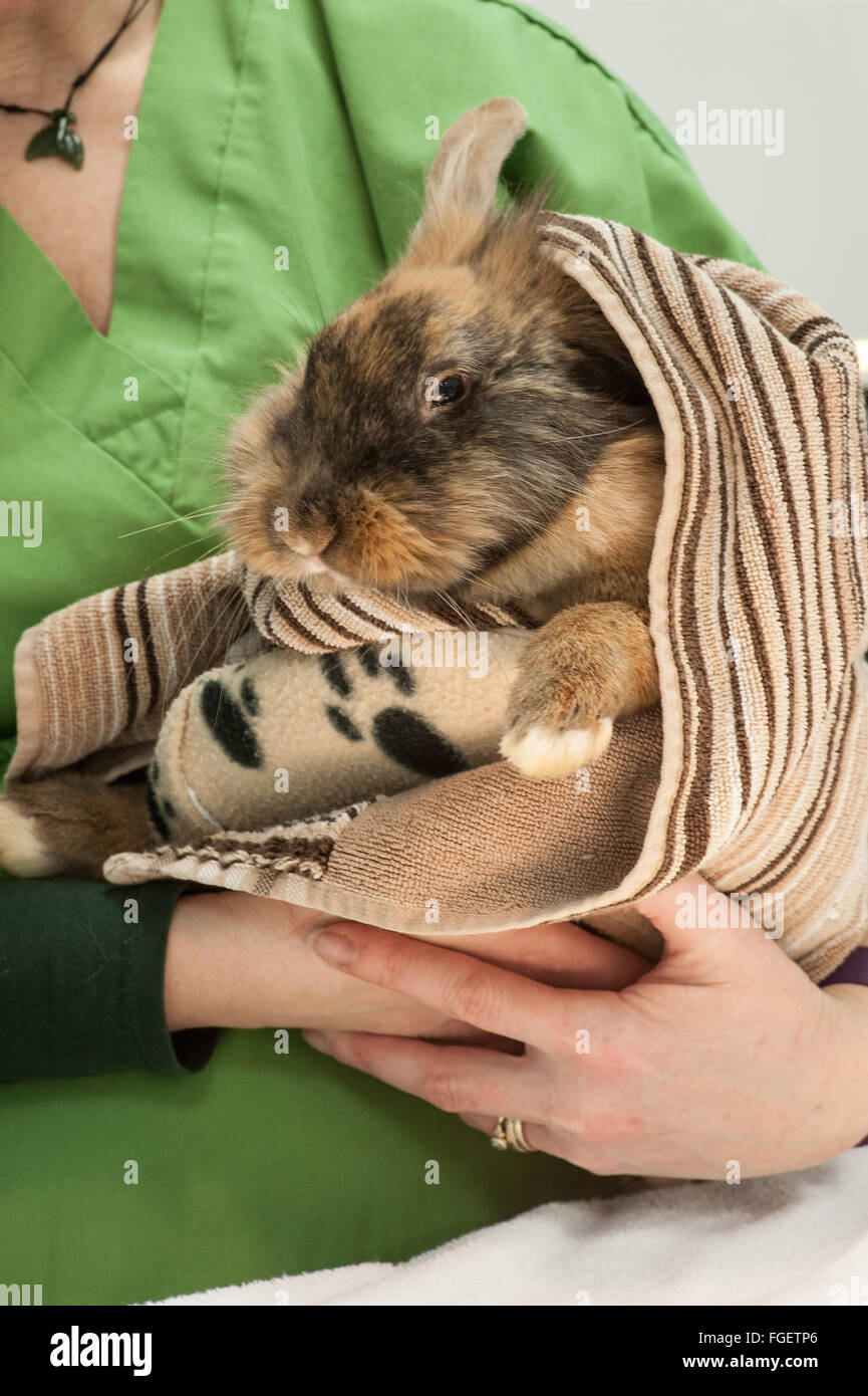 Post handling hi-res stock photography and images - Alamy