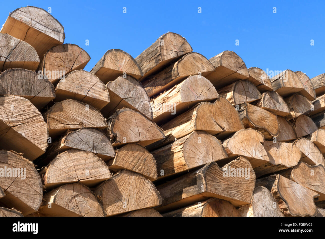 Woodpile with half cut tree trunks against blue sky Stock Photo - Alamy