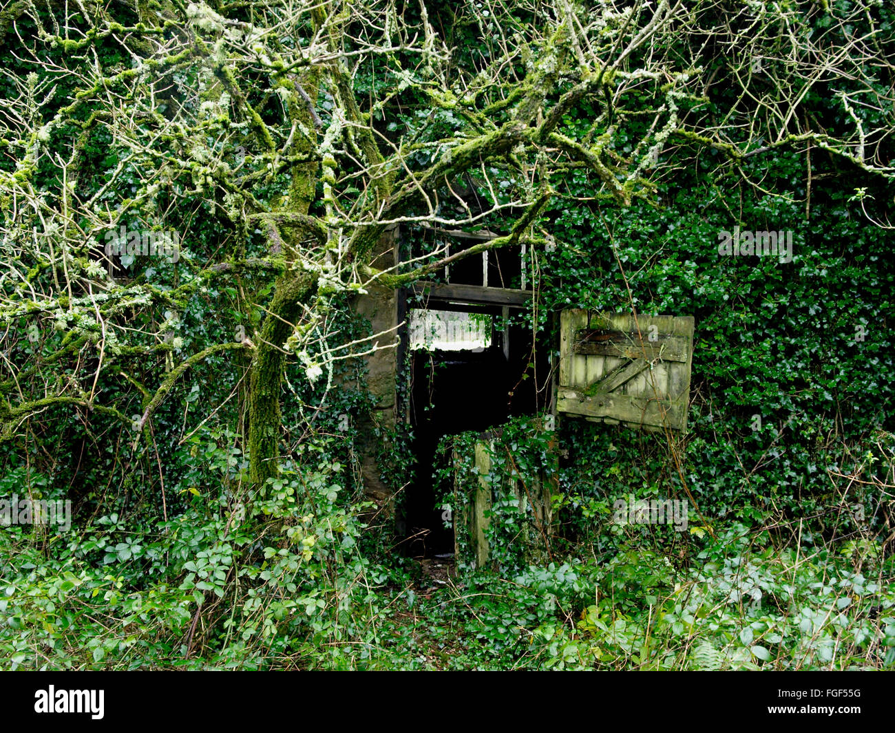 Overgrown building hi-res stock photography and images - Alamy