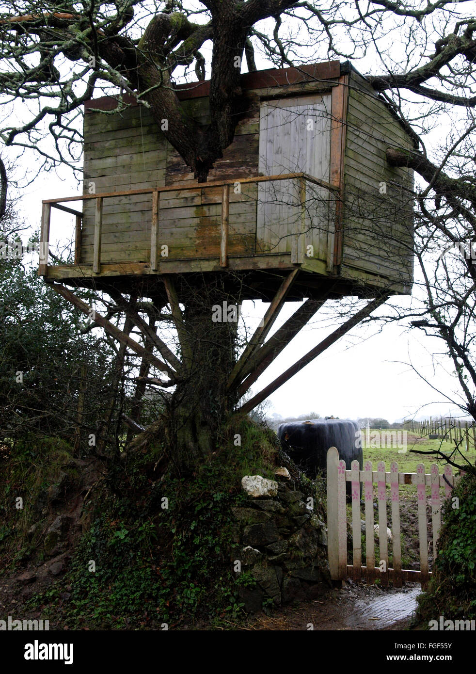 Treehouse uk hi-res stock photography and images - Alamy