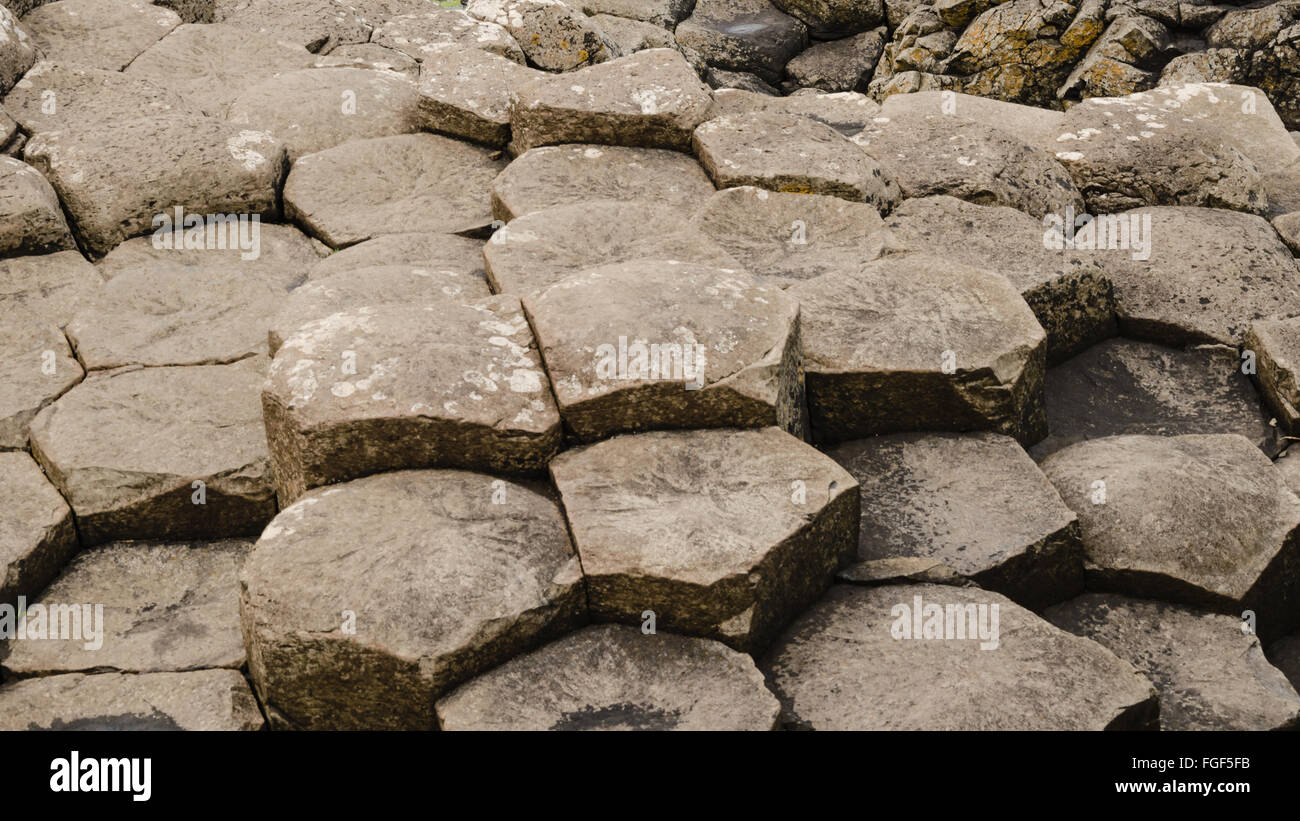 details of the geomorphic columns at the giant's causeway unesco ...