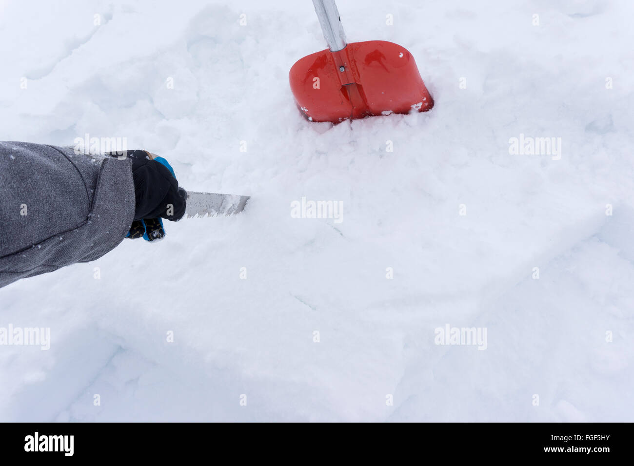 Handnaturenon urban hi-res stock photography and images - Alamy