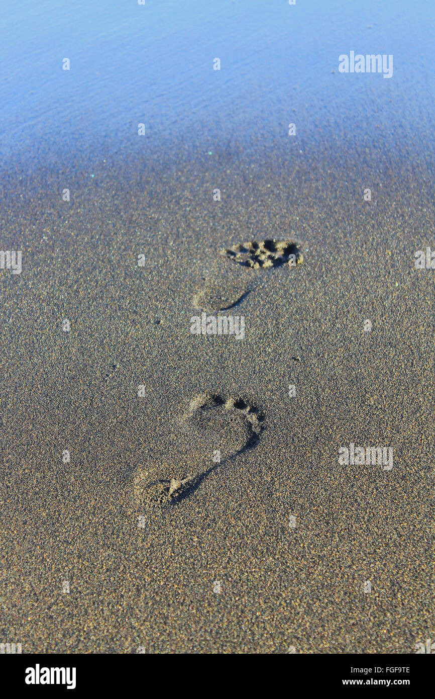 Follow the trail Stock Photo - Alamy