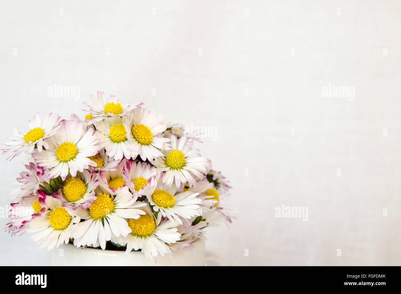 daisy flower image Stock Photo - Alamy