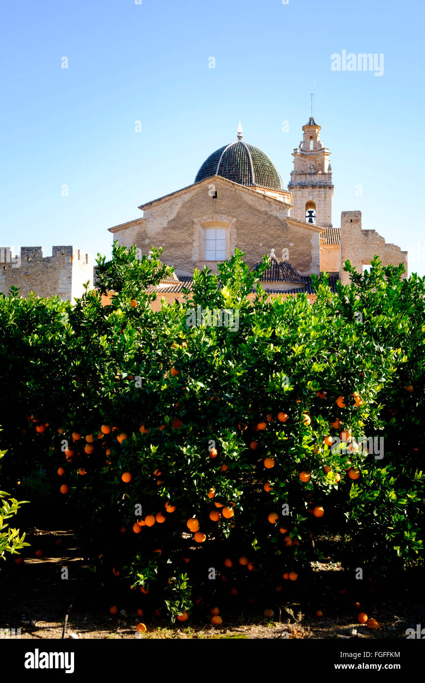 Espana tree dome hi-res stock photography and images - Alamy
