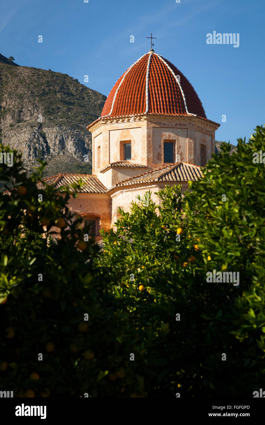 Mary of the tree hi-res stock photography and images - Alamy