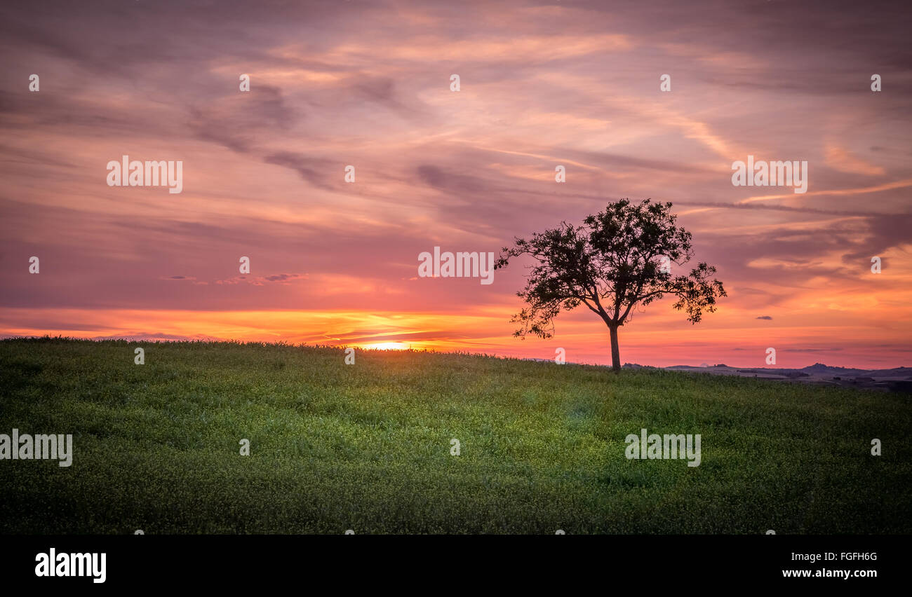 Amazing sunset and dramatic sky in Tuscany, Italy Stock Photo - Alamy