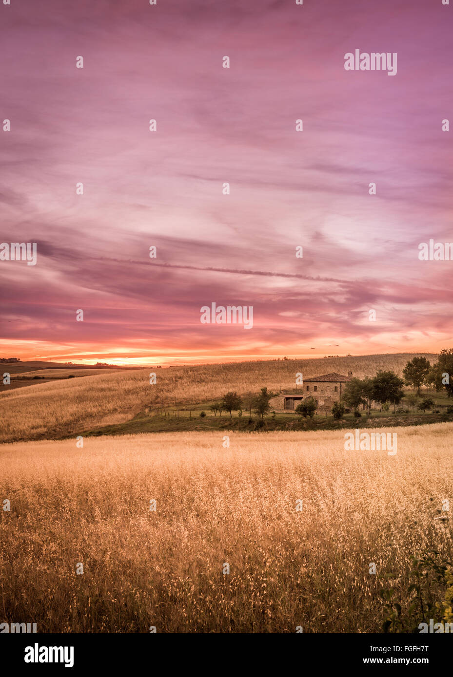 Purple sunset in Tuscany. Countryside landscape Stock Photo - Alamy